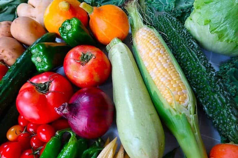 Understanding the Japanese Diet and Magowayashii Philosophy