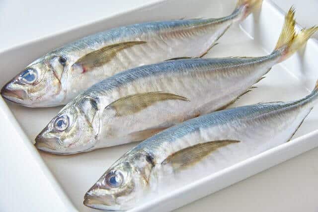 Aji - Famously known Horse Mackerel in Japan